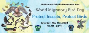 World Migratory Bird Day Bird Walks & Outreach - Lancaster County Bird Club